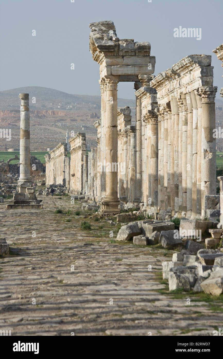 Honourific Column and Collonade at the Roman Ruins of Apamea Syria ...
