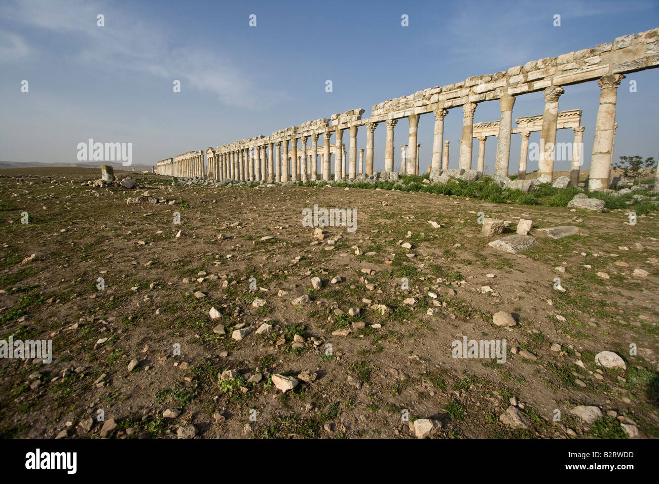 Ancient Colonnade at the Roman Ruins at Apamea in Syria Stock Photo - Alamy