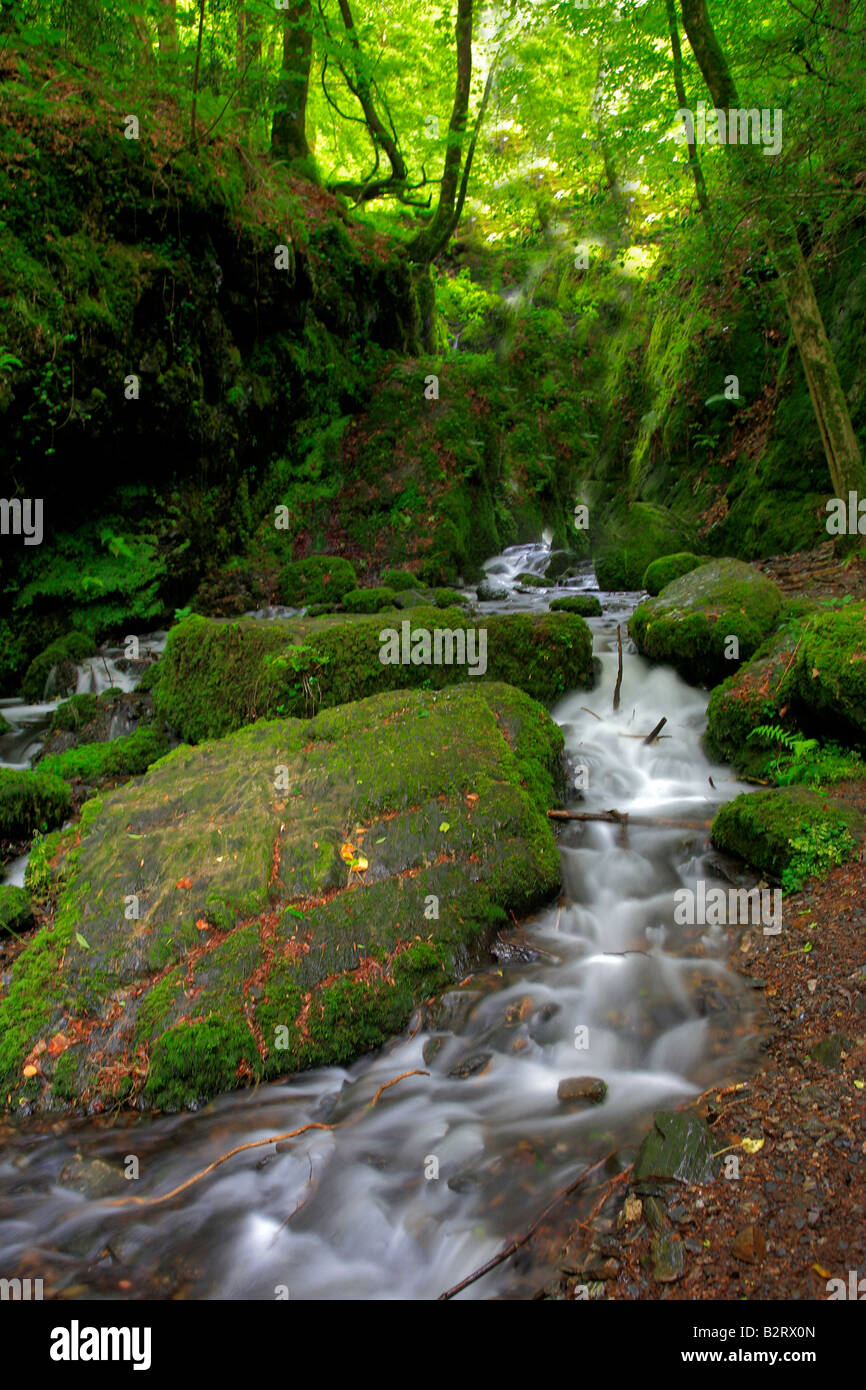 Lower waterfalls Canonteign Waterfalls the highest waterfalls in ...