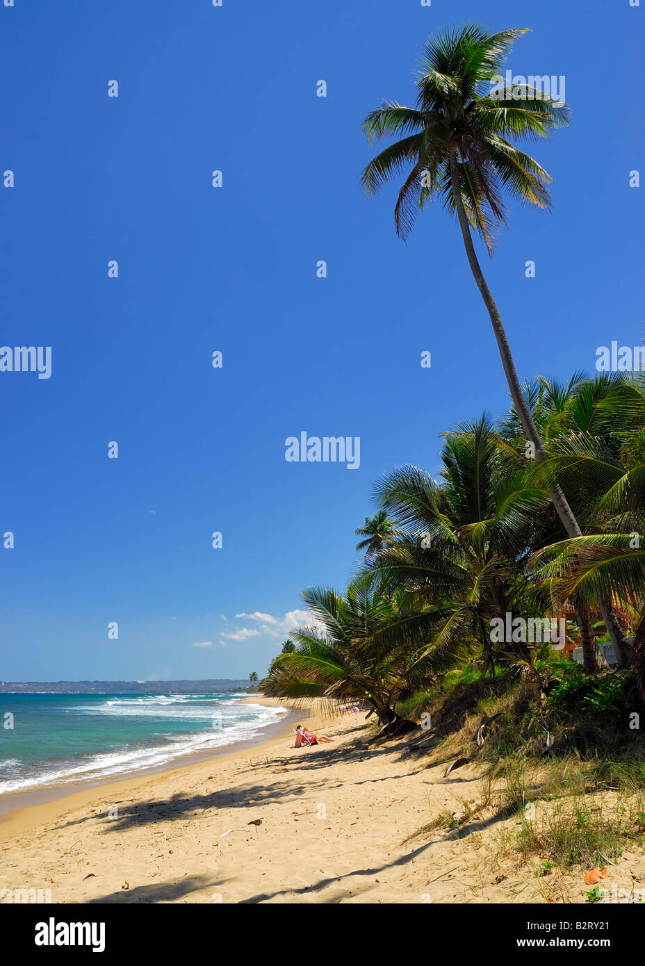 Rincon puerto rico hi-res stock photography and images - Alamy