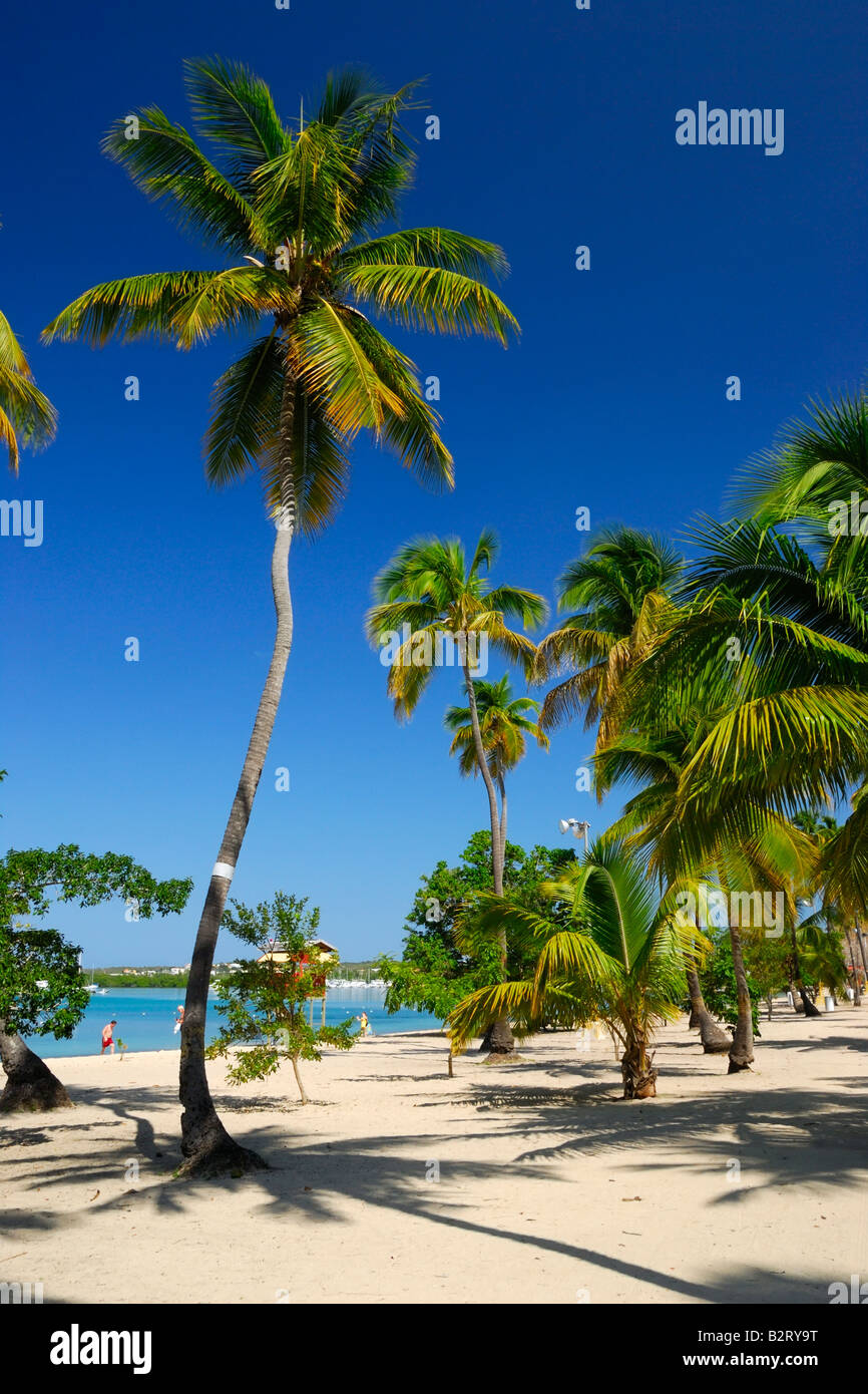 The beautiful white sand beach at the Boquerón Bay (Balneario of ...