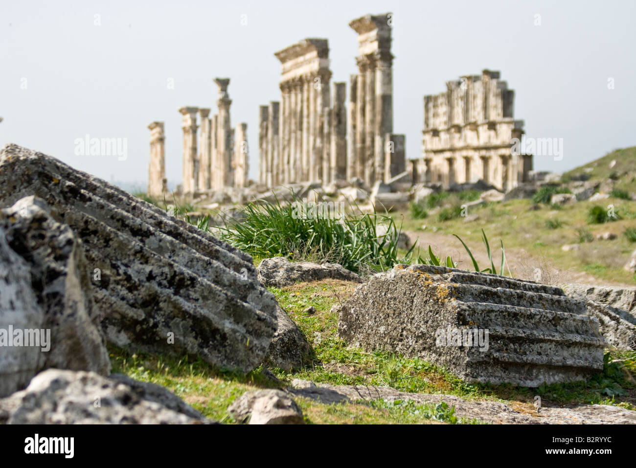 Roman Ruins at Apamea Syria Stock Photo - Alamy