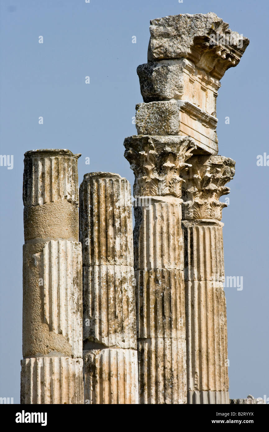 Collonade roman ruins in syria hi-res stock photography and images - Alamy