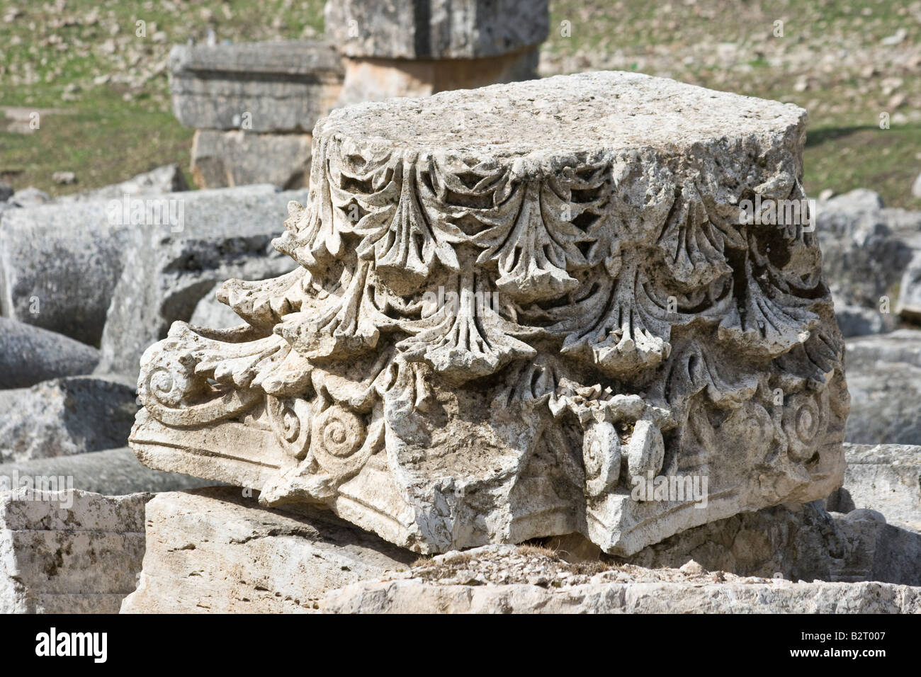 Roman Capital at the Ruins of Apamea in Syria Stock Photo - Alamy