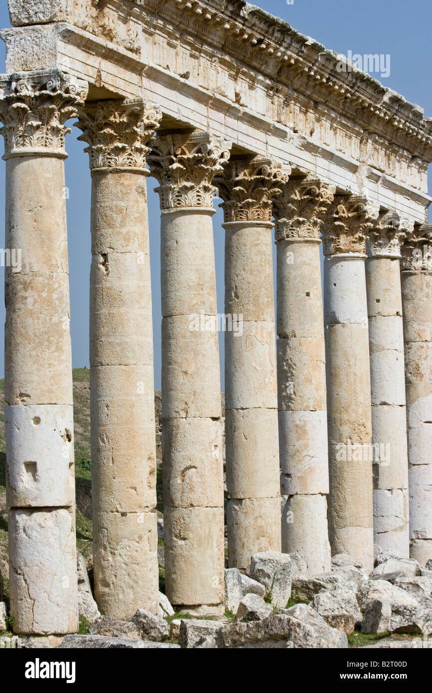 Roman Collonade at the Ruins of Apamea in Syria Stock Photo - Alamy