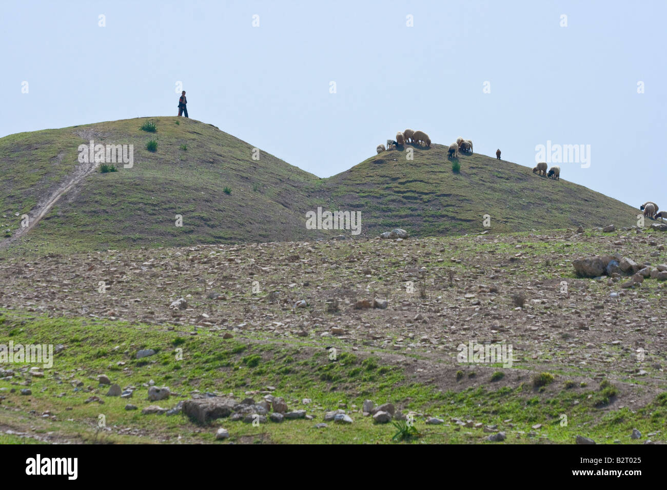 Roman shepherd boy hi-res stock photography and images - Alamy