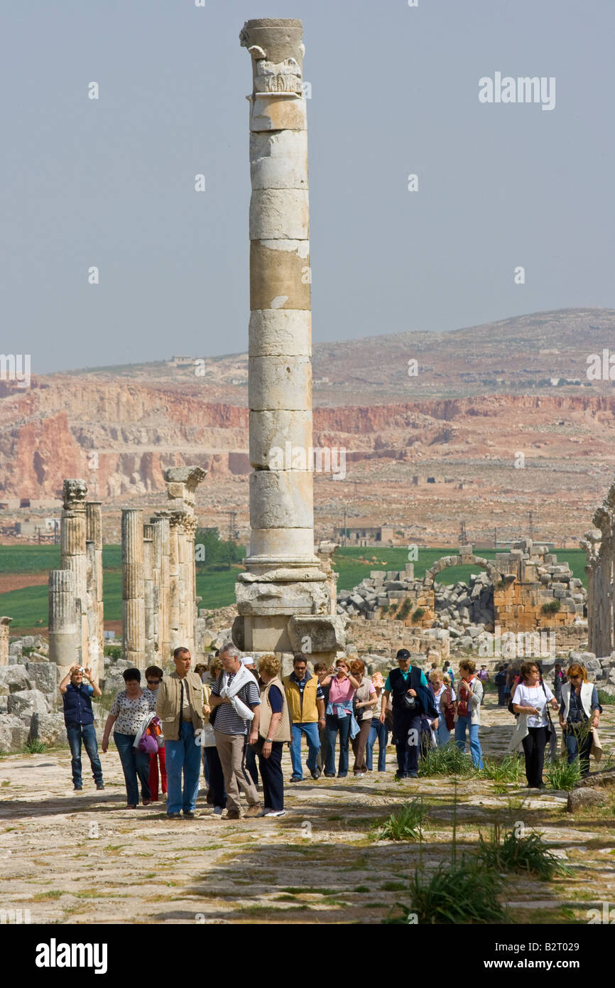 Monumental Column, tour Group at Roman Ruins at Apamea Syria Stock ...