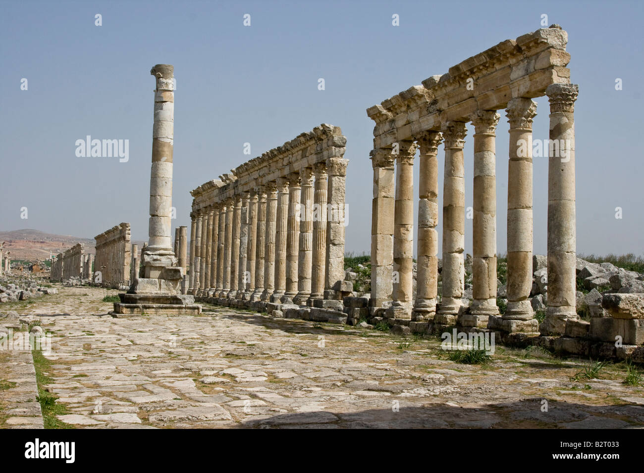 Monumental Column and Colonnade at the Roman Ruins of Apamea in Syria ...
