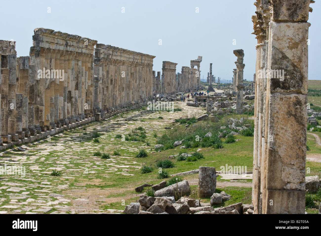 Monumental Column and Colonnade at the Roman Ruins of Apamea in Syria ...