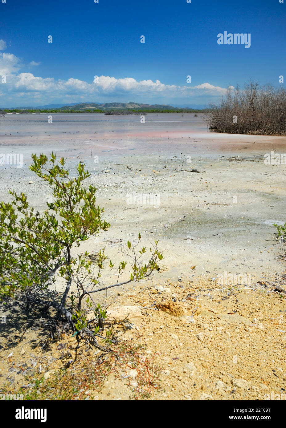 The Las Salinas (Salt Flats) near the Los Morrillos Lighthouse at the ...