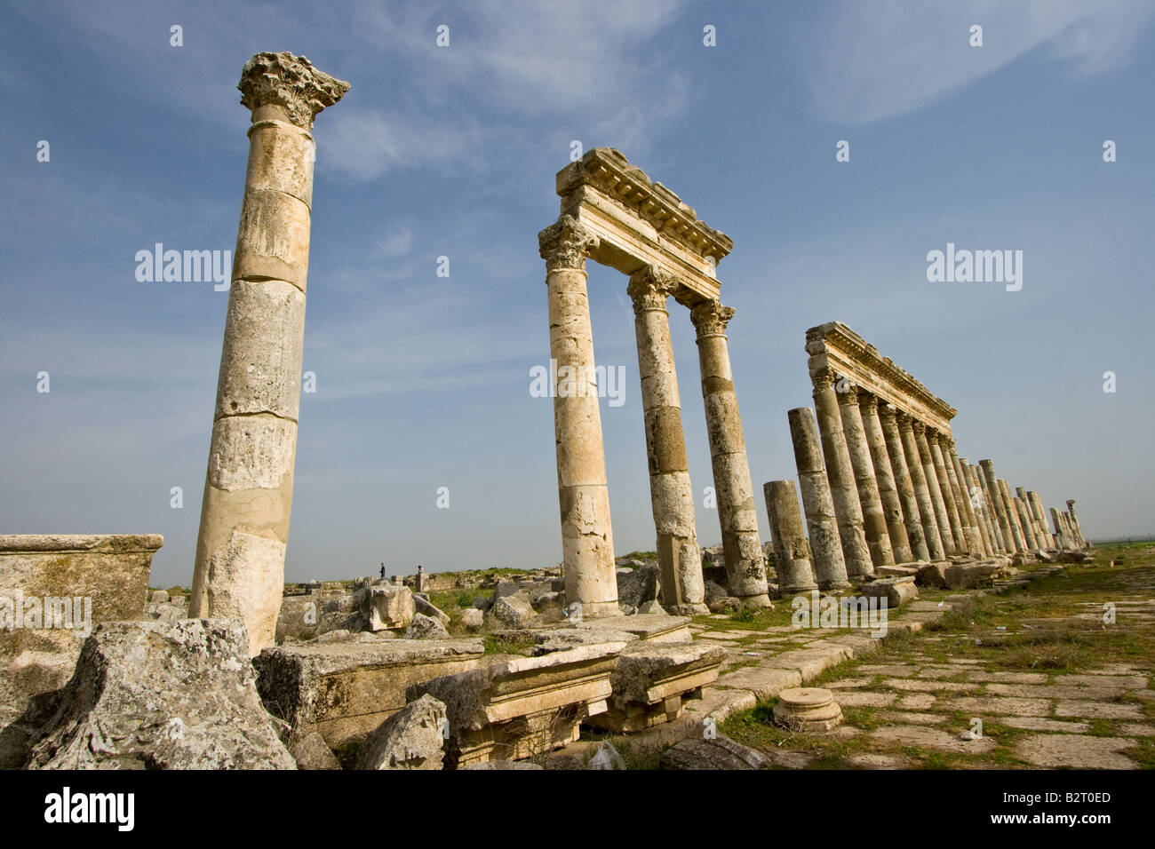 Colonnade at the Ancient Roman Ruins of Apamea in Syria Stock Photo - Alamy