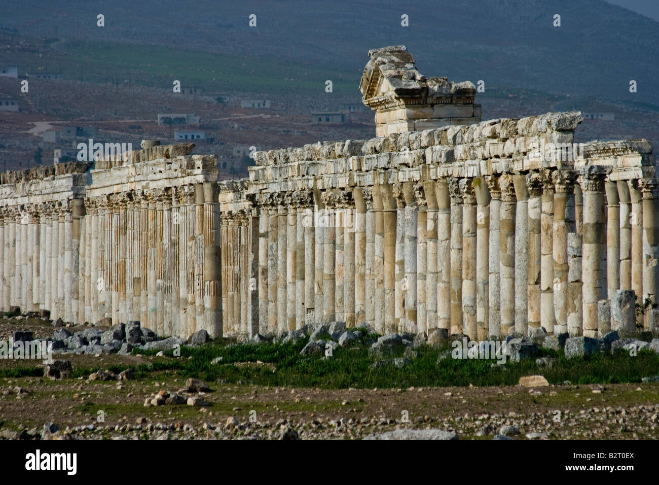 Colonnade at the Roman Ruins of Apamea in Syria Stock Photo - Alamy