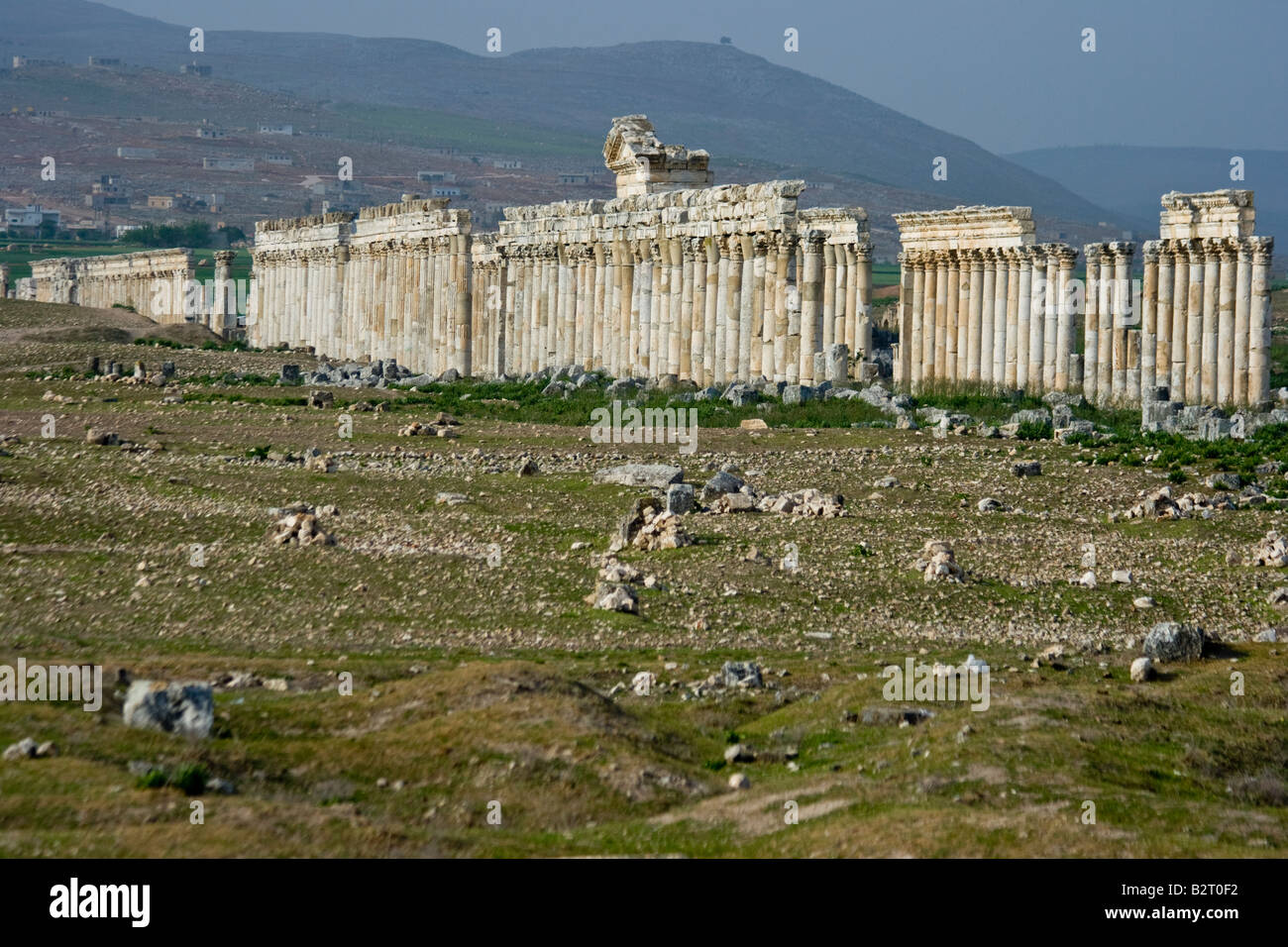 Collonade roman ruins in syria hi-res stock photography and images - Alamy