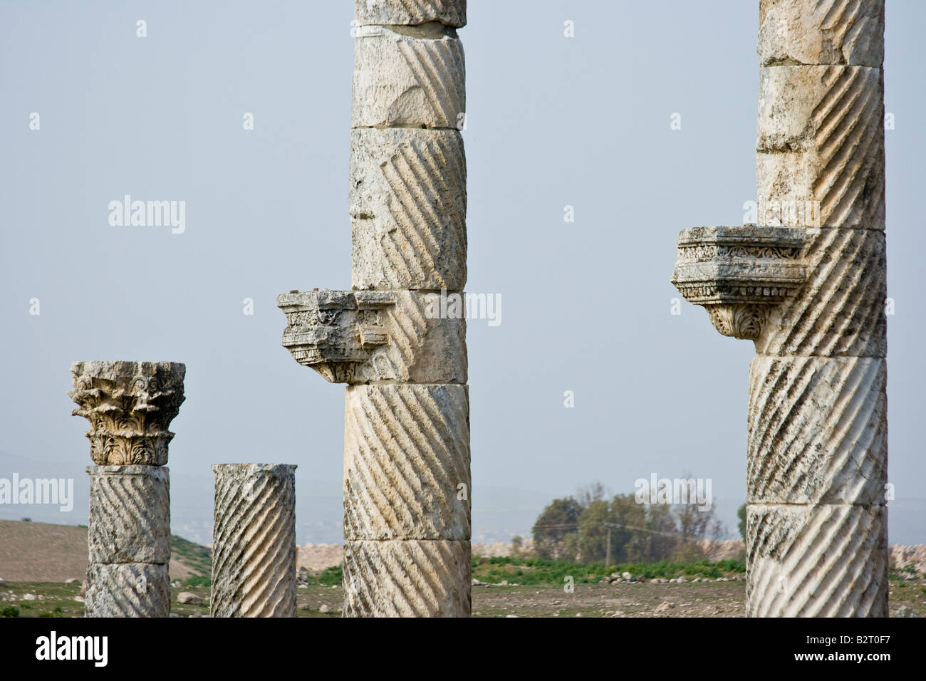 Statue Holders on Distinctive Columns at the Roman Ruins in Apamea ...