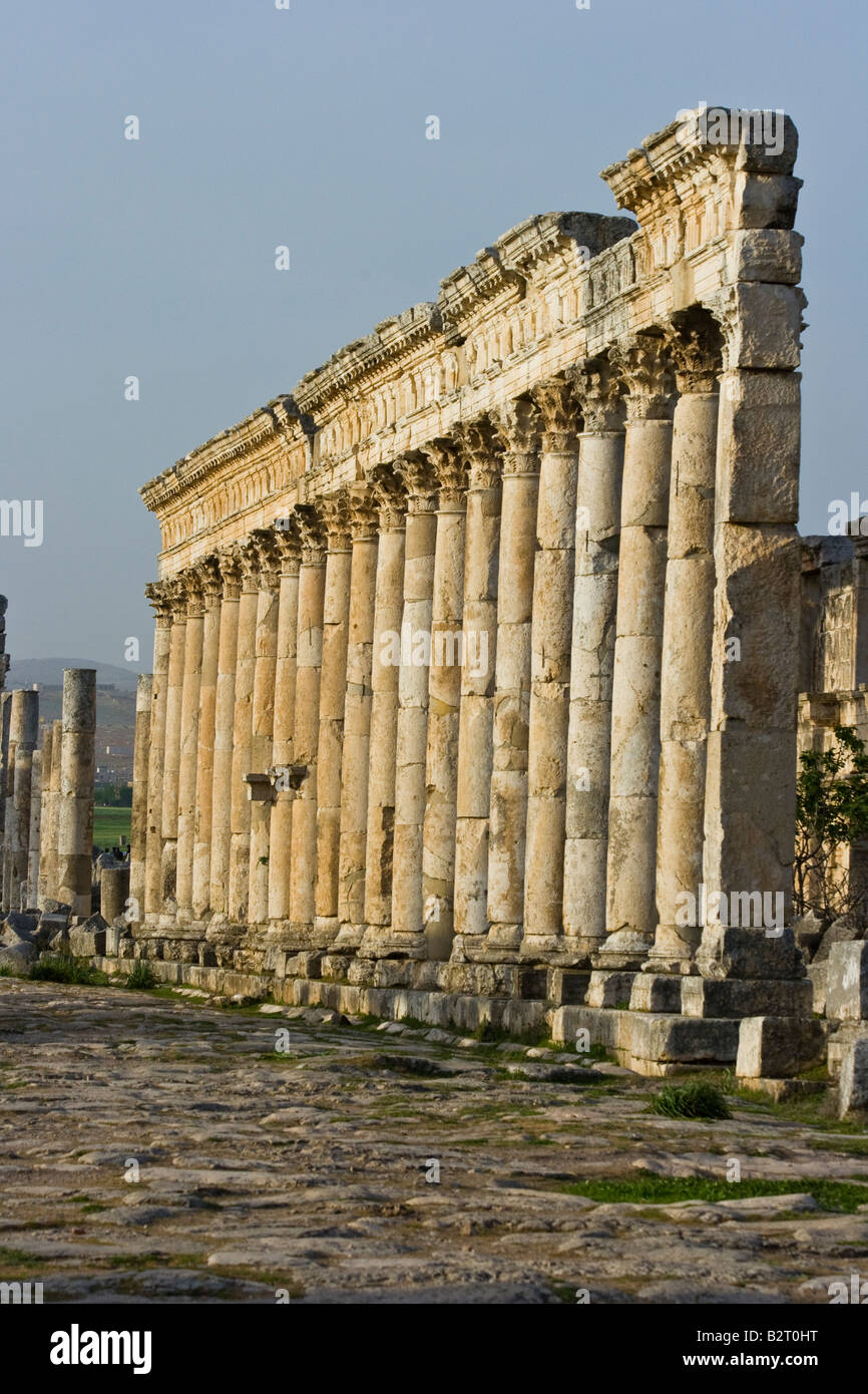 Collonade roman ruins in syria hi-res stock photography and images - Alamy