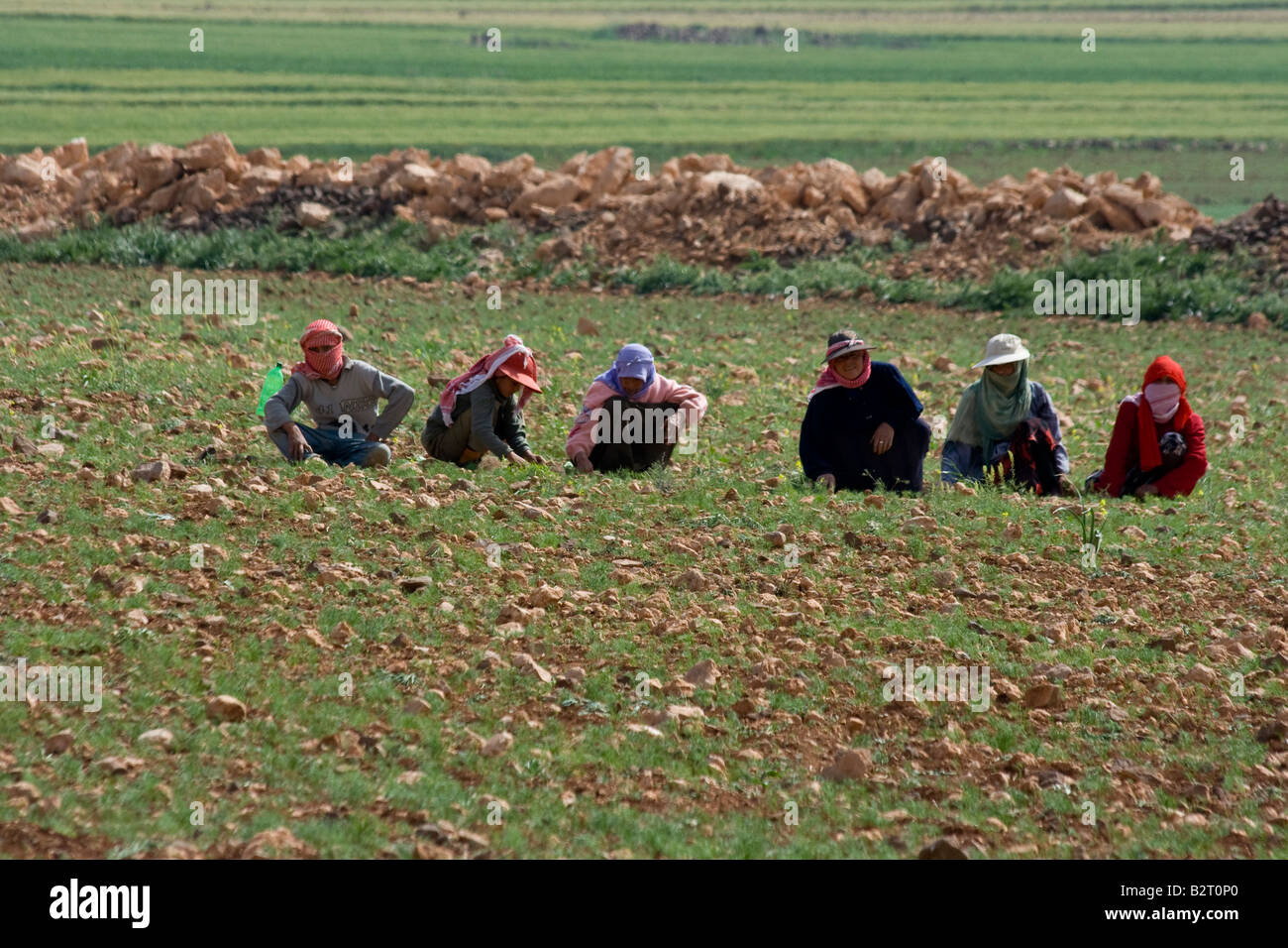 Farmer of syria hi-res stock photography and images - Alamy