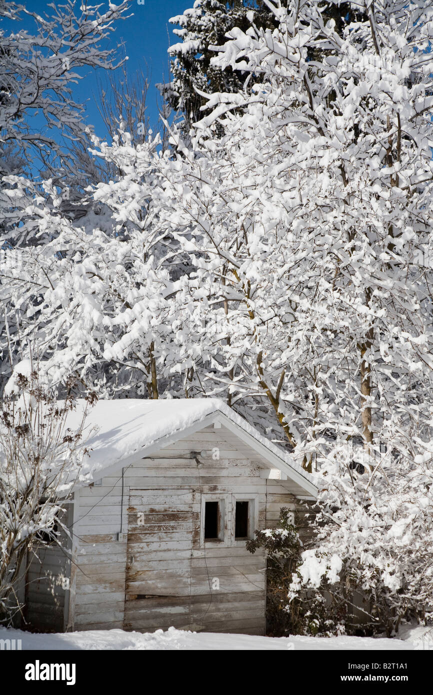 Snow garden pretty hi-res stock photography and images - Alamy