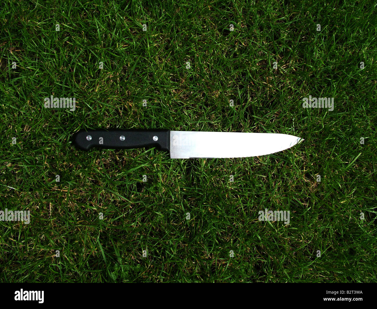 Kitchen green grass slash hi-res stock photography and images - Alamy