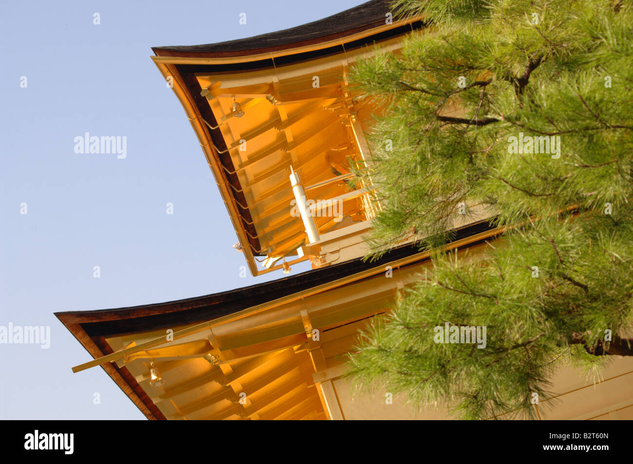 Gold Golden Phoenix High Resolution Stock Photography and Images - Alamy