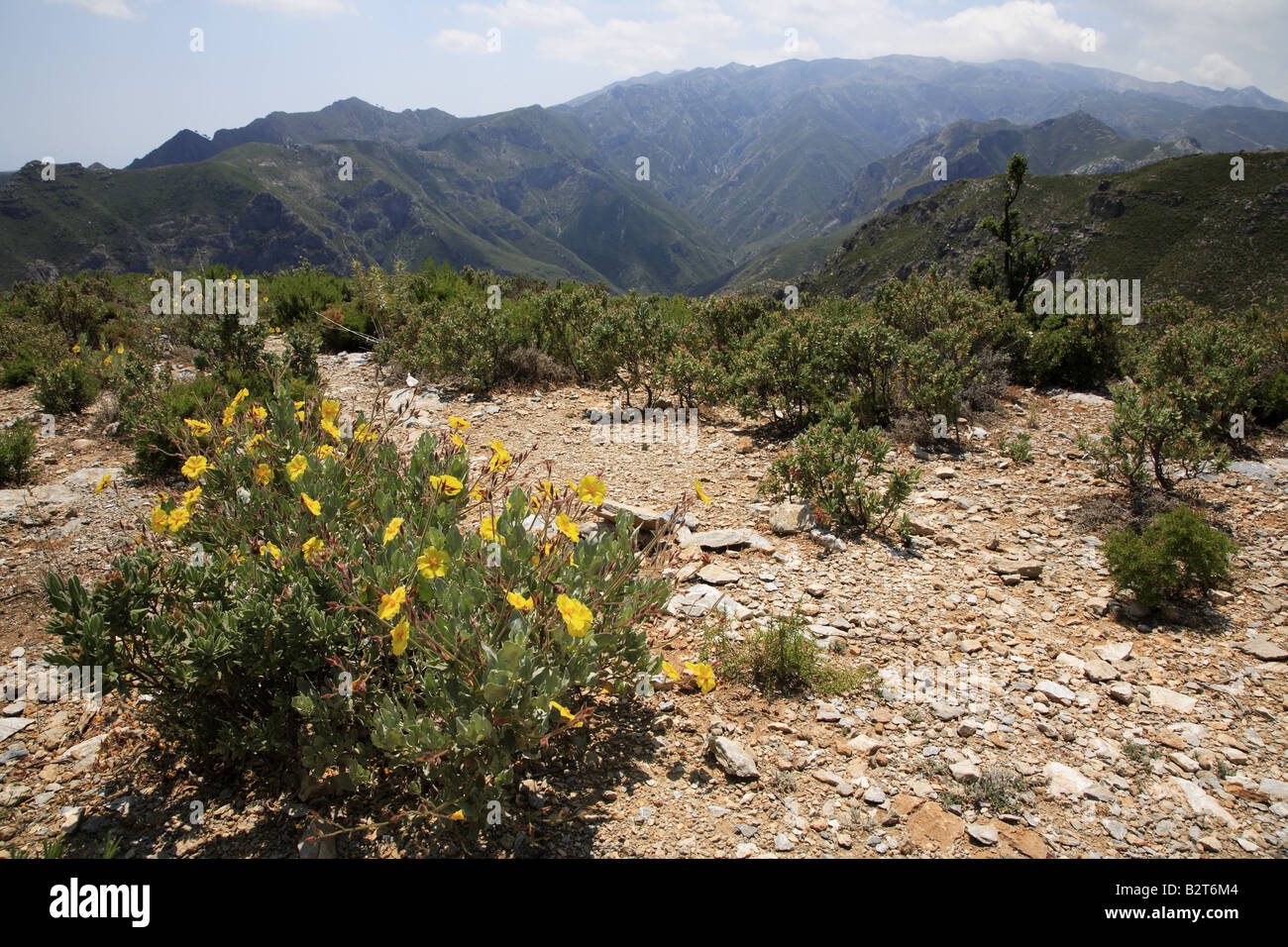 Sierra del Chaparral Andalucia Spain Stock Photo - Alamy