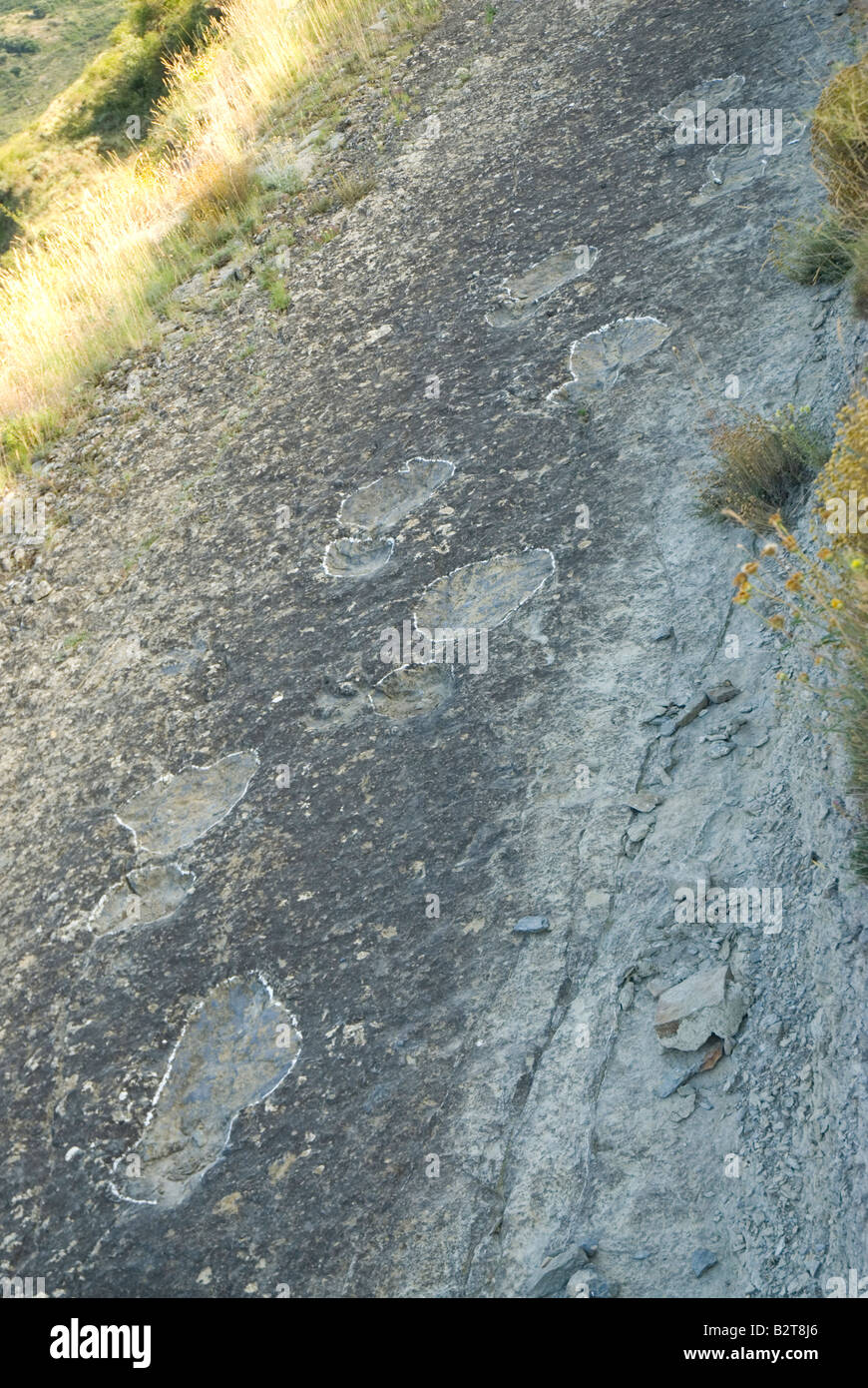Footprint of Brachiosaurus dinosaur at Valdecevillo site in ENCISO La ...