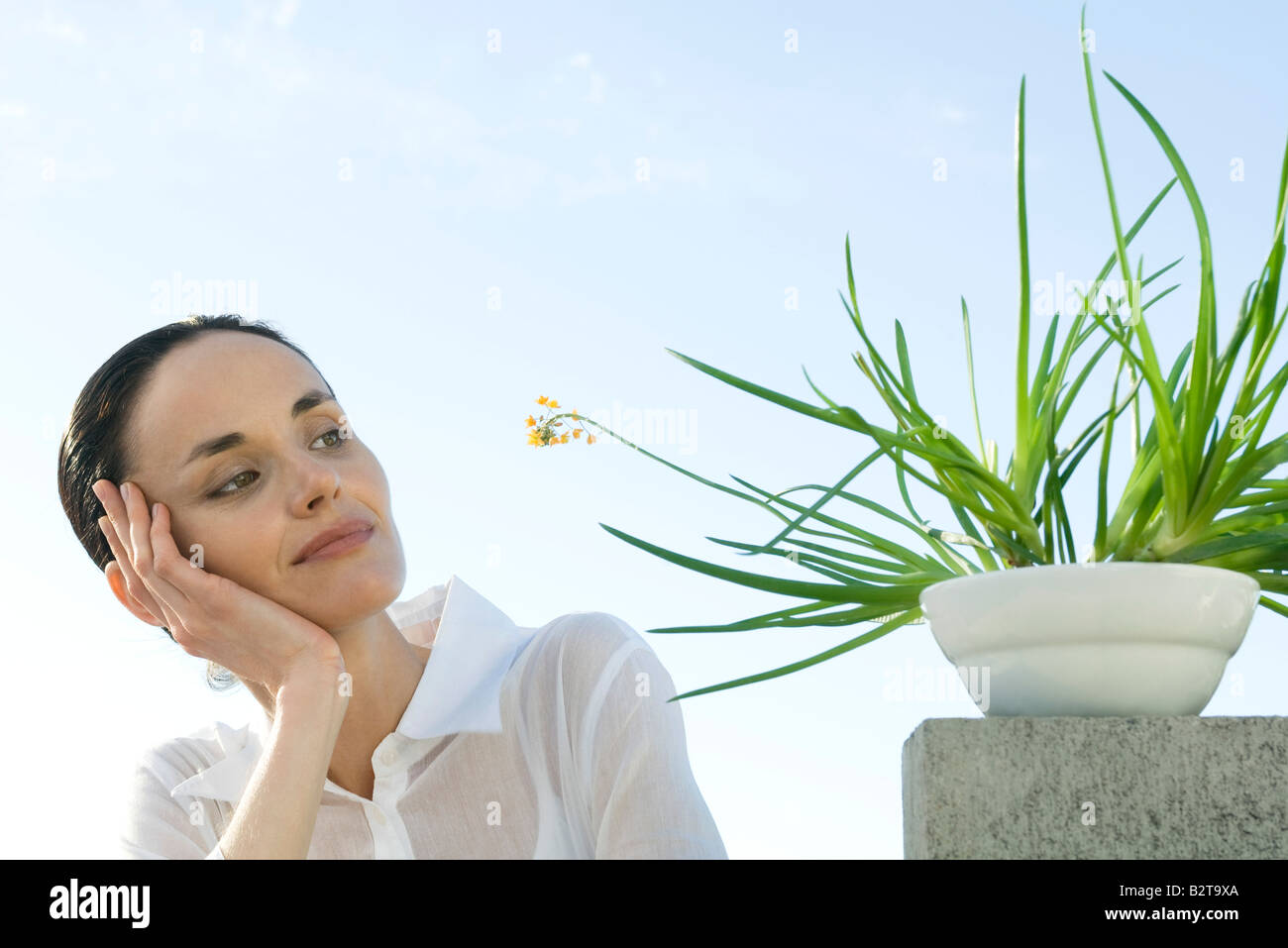 Woman contemplating plant Stock Photo - Alamy