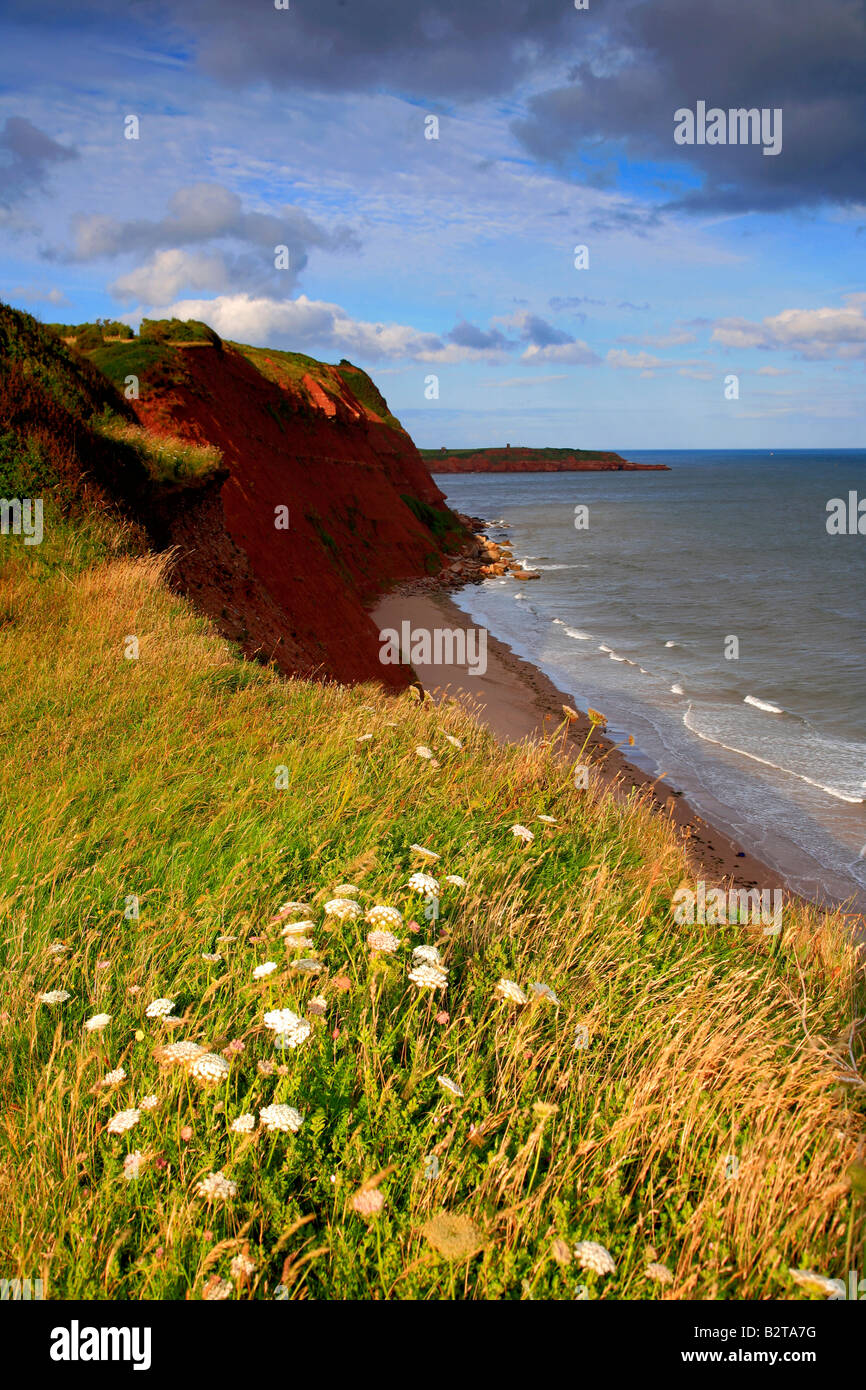 Sandy bay exmouth hi-res stock photography and images - Alamy