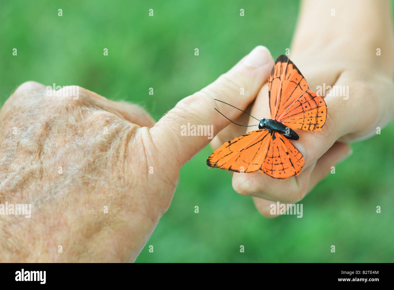 Touch hand touching butterfly hi-res stock photography and images - Alamy