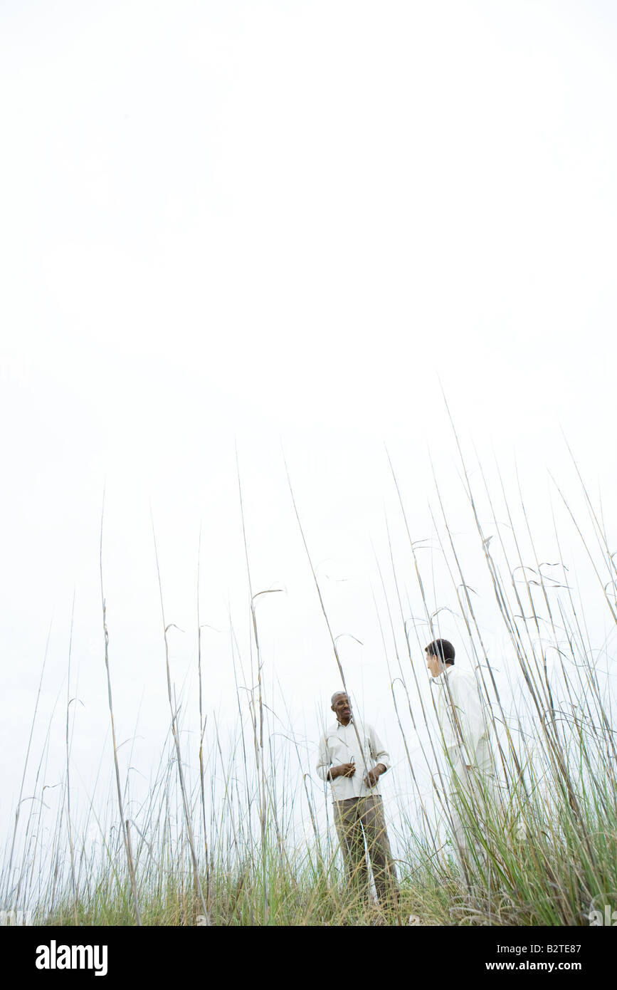 Two men standing apart outdoors, low angle view through tall grass ...