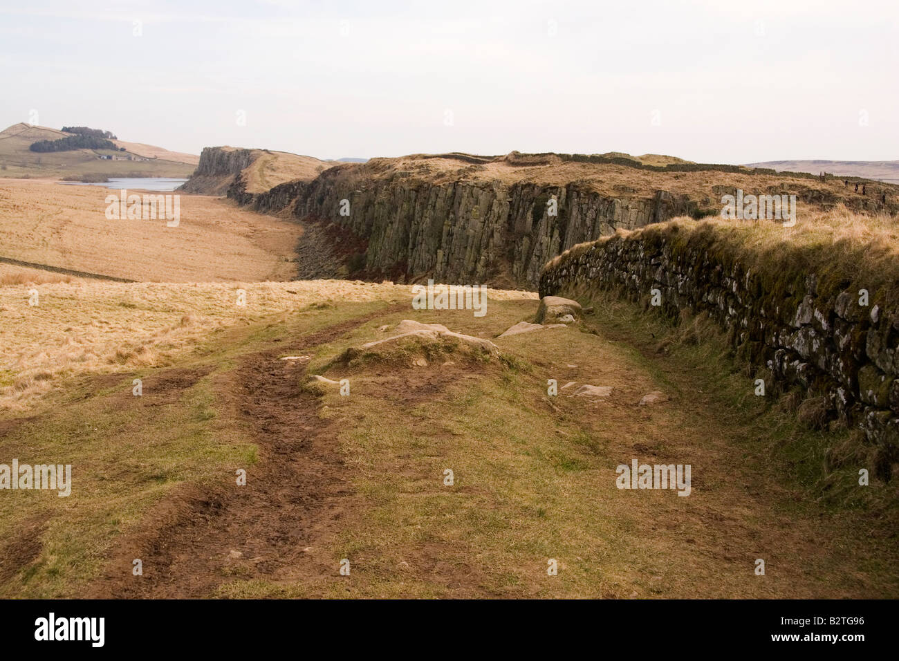 Hadrian's Wall at Steel Rigg in Northumberland, England Stock Photo - Alamy