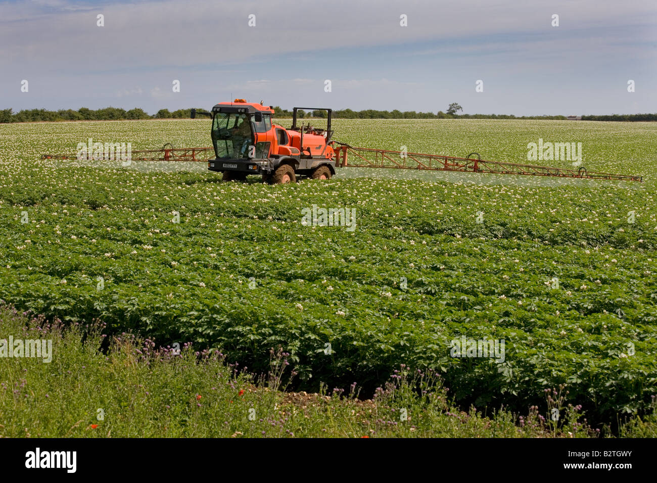 Potato crop spraying uk hi-res stock photography and images - Alamy