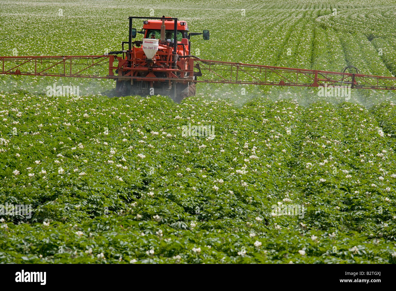 Potato Crop Spraying Norfolk UK Stock Photo - Alamy