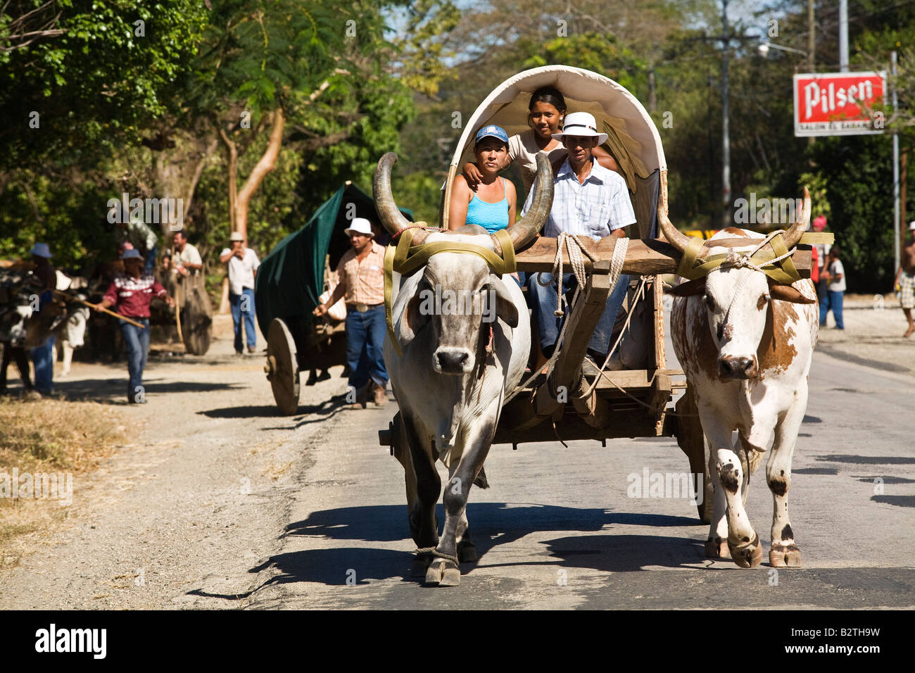 Driving ox cart hi-res stock photography and images - Alamy