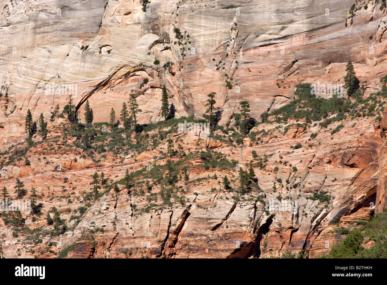Zion Canyon, Zion National Park, Utah Stock Photo - Alamy