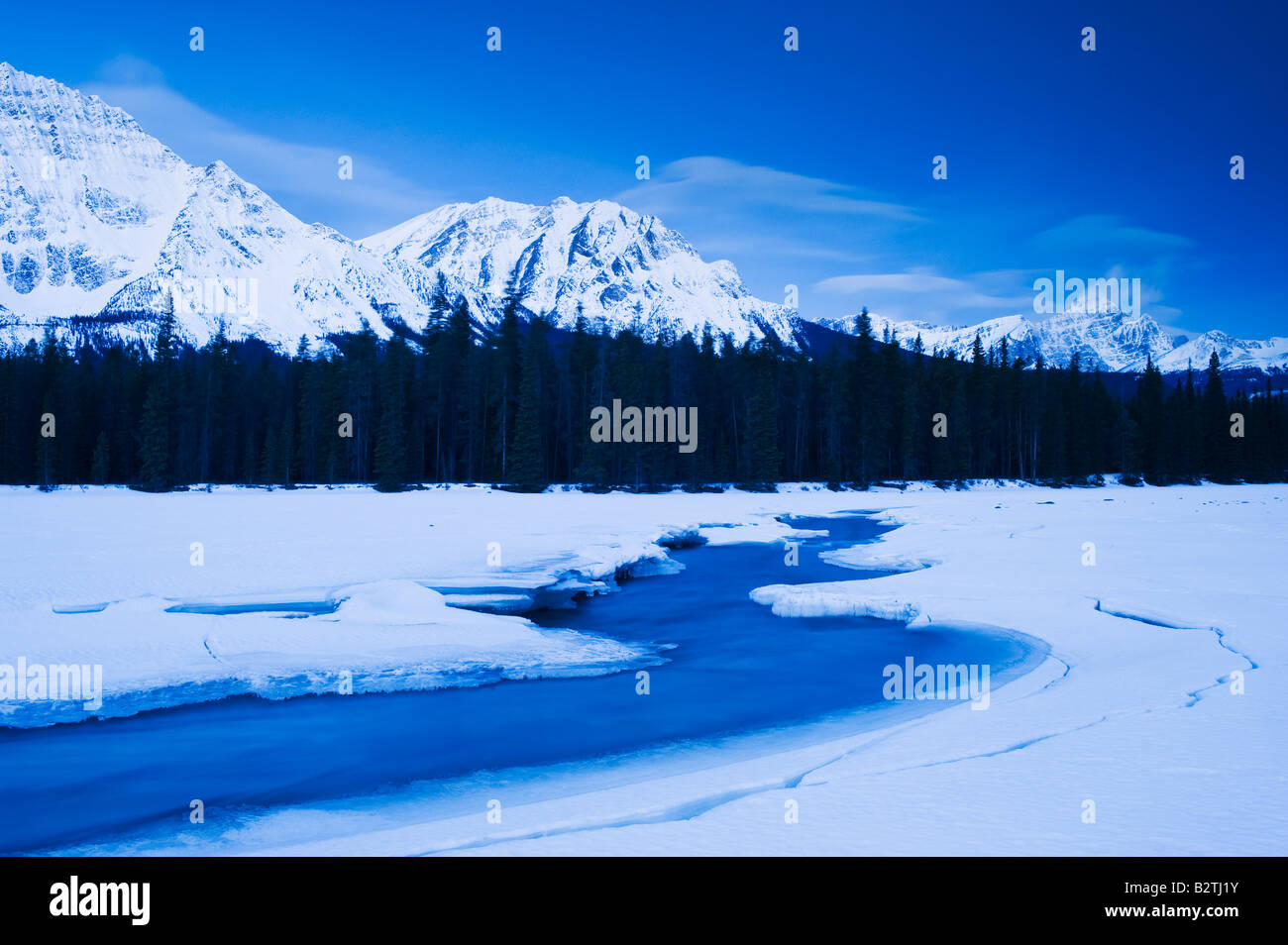 The Athabasca River at dawn Mt Edith Cavell in the distance Stock Photo ...