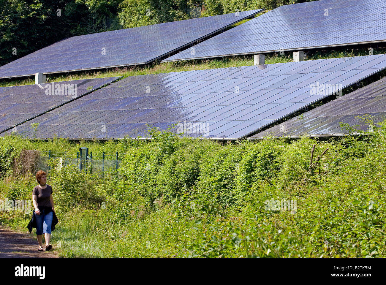 Solar power station owned by RWE Energy, Neurath, Grevenbroich, North ...