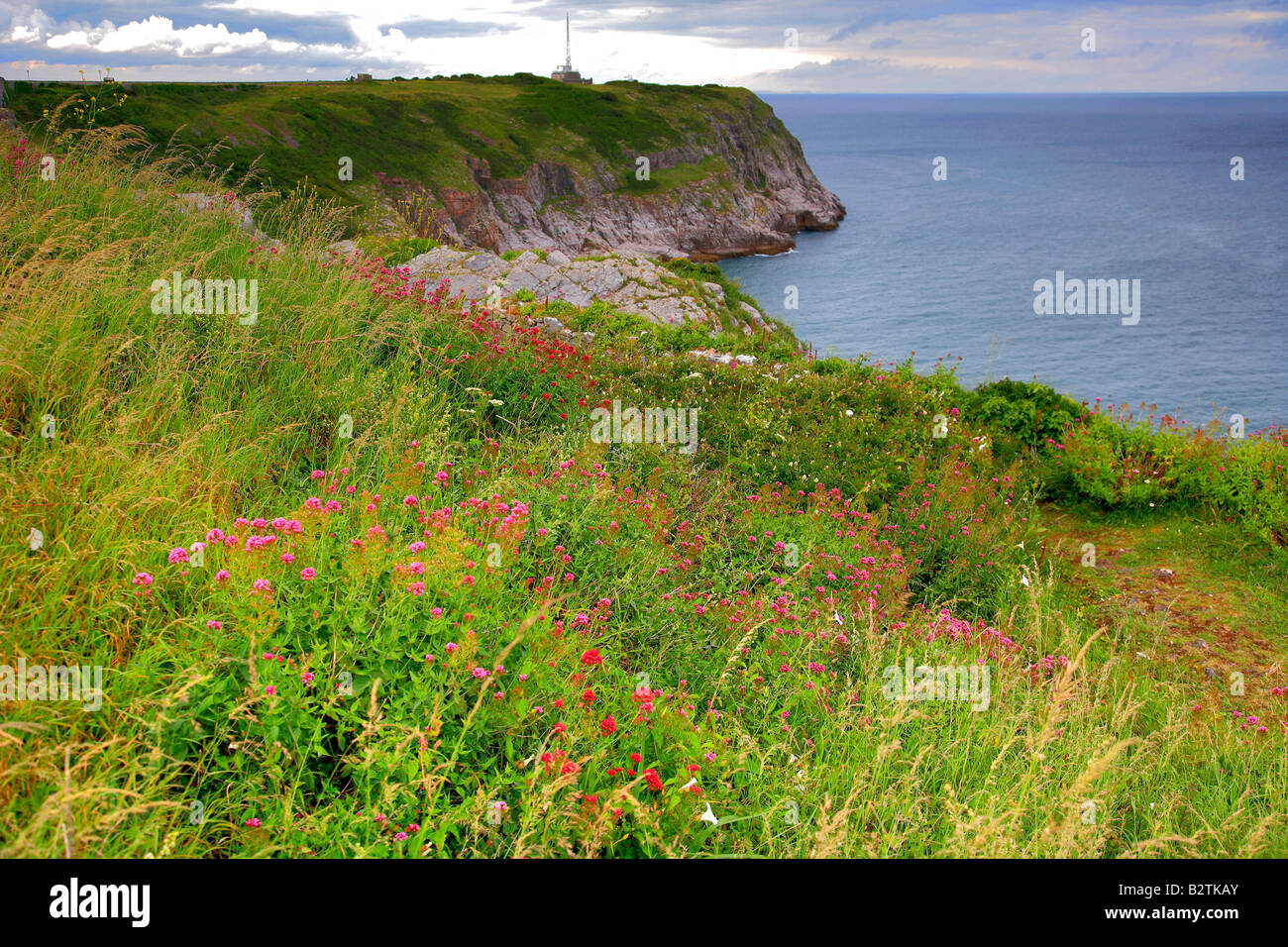 Devon forts hi-res stock photography and images - Alamy