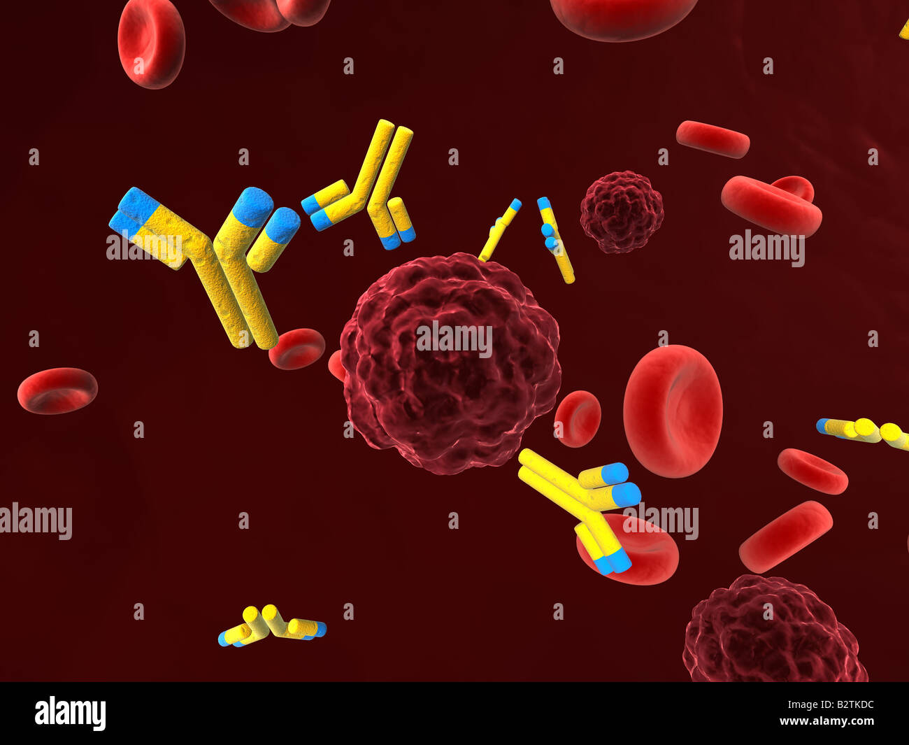 Cell cells microscopic hi-res stock photography and images - Alamy