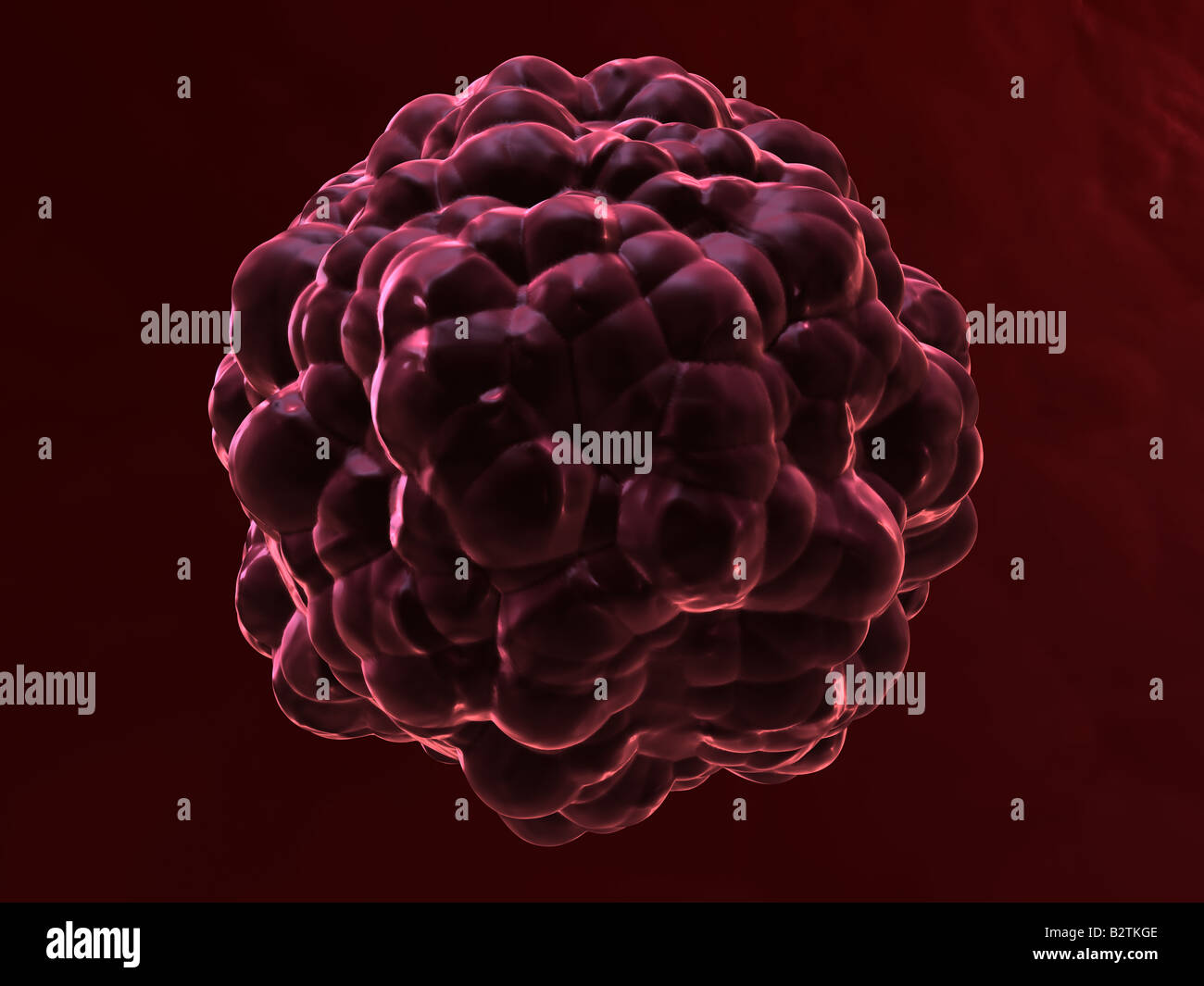 Cancer microbe hi-res stock photography and images - Alamy