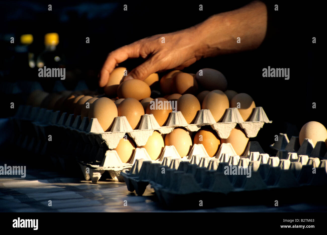 Mans hand sorting eggs hi-res stock photography and images - Alamy