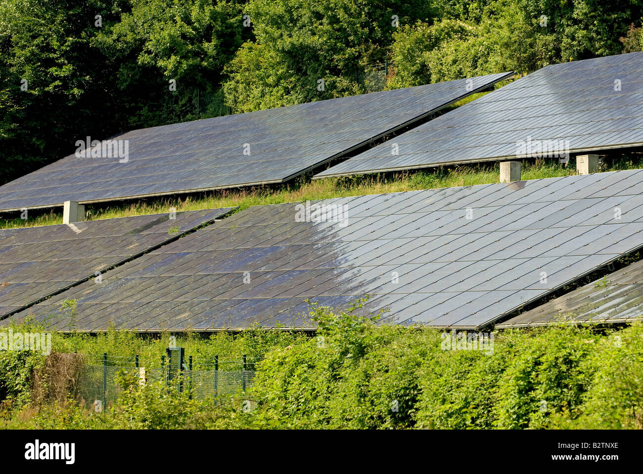 Solar power station owned by RWE Energy, Neurath, Grevenbroich, North ...