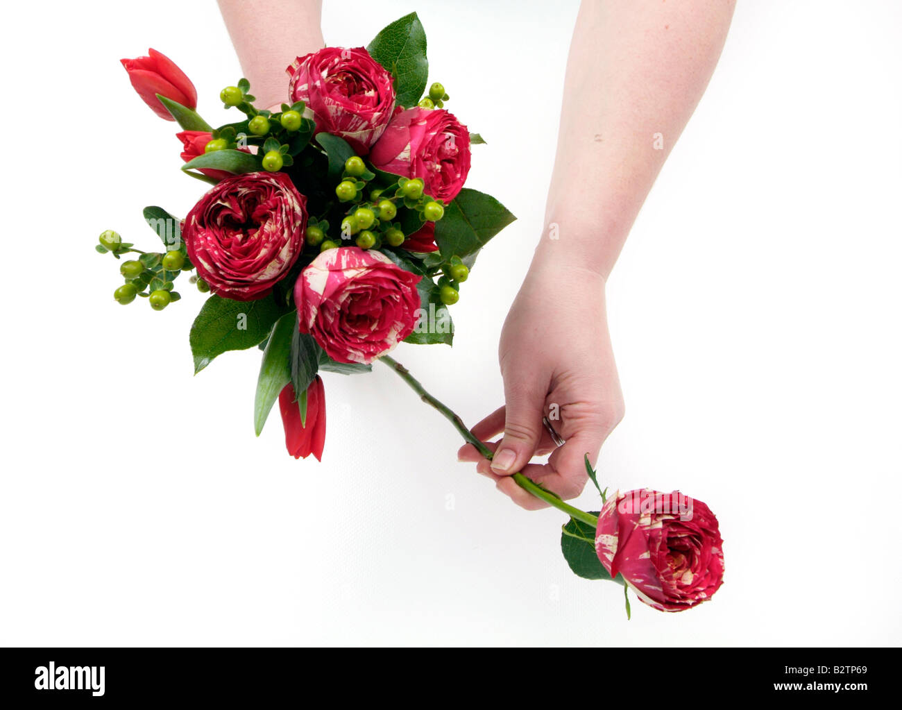 Flower arrangement step by step. Roses, tulips, greenery Stock Photo ...