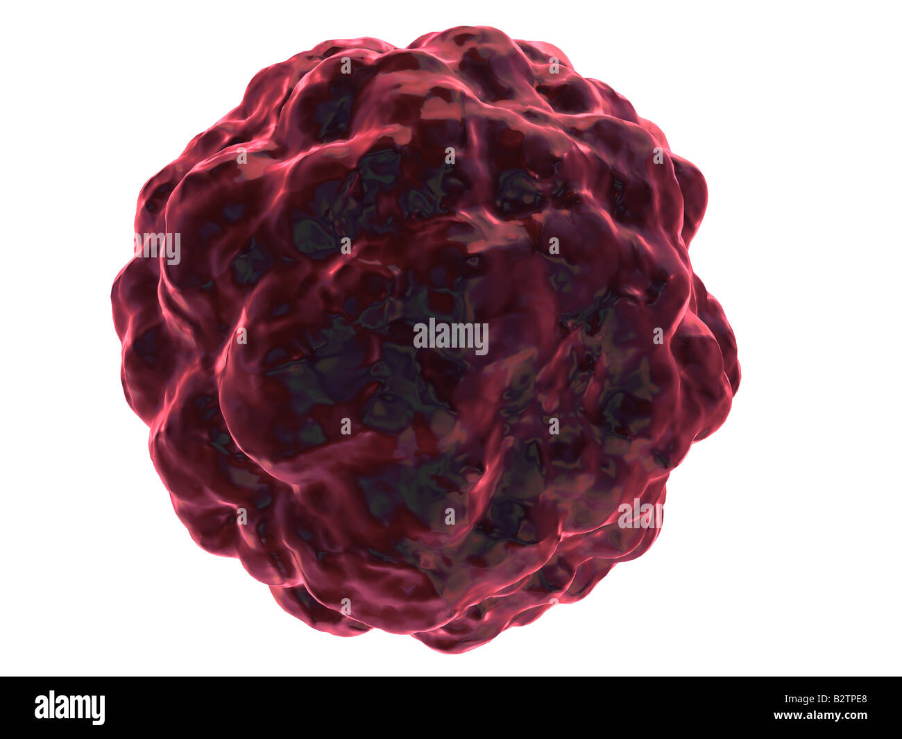 Cancer cell therapy hi-res stock photography and images - Alamy