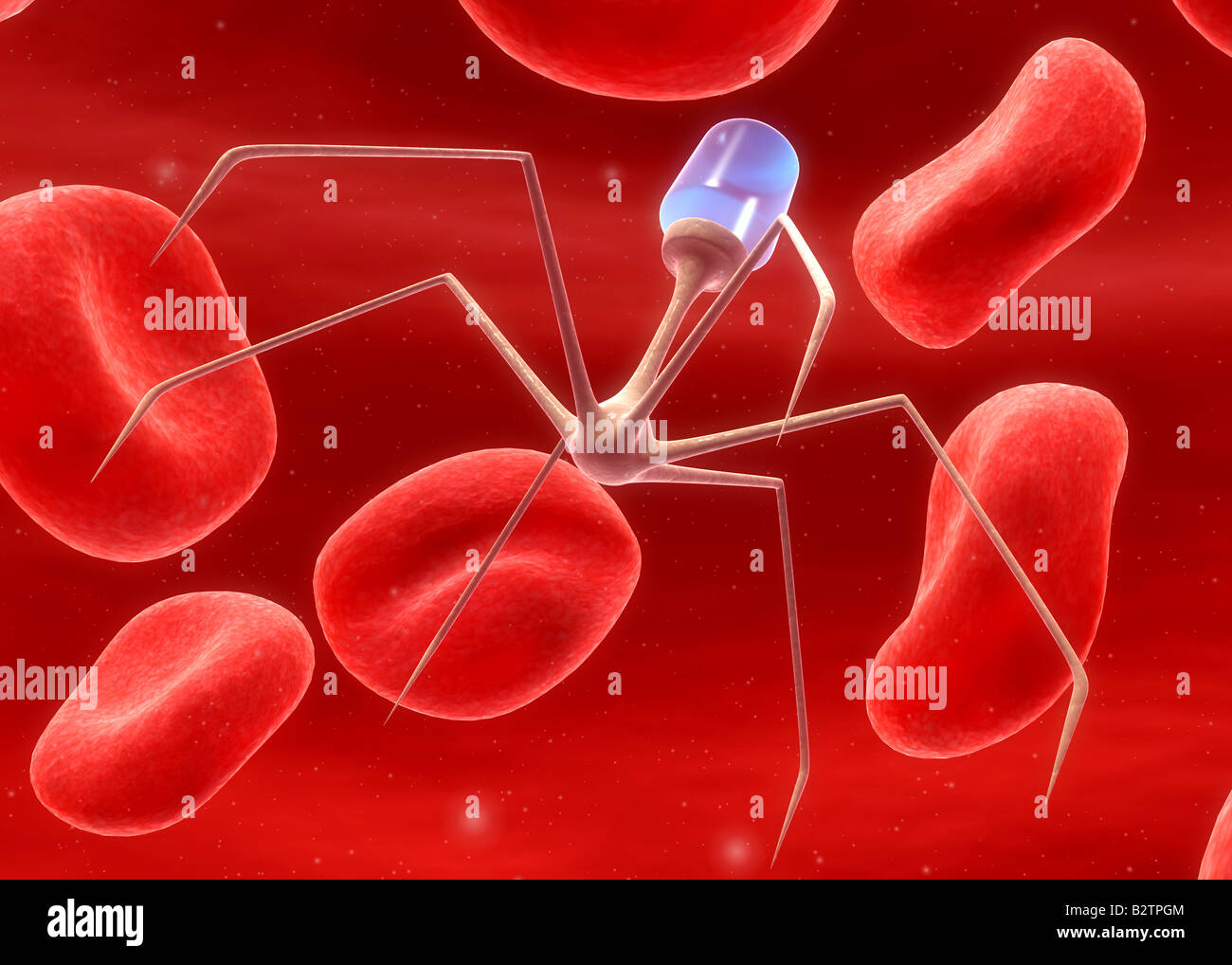 Bacteriophage microscope hi-res stock photography and images - Alamy