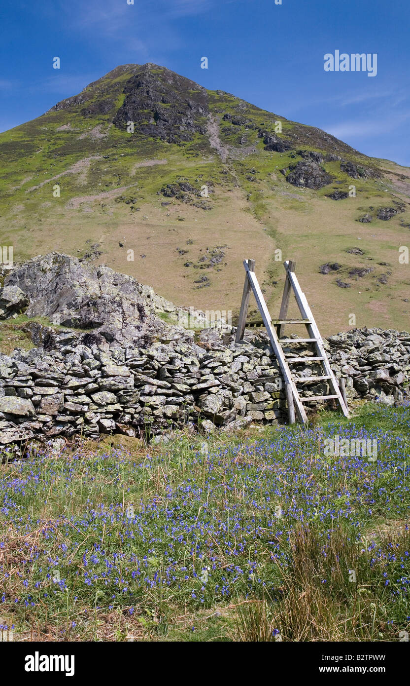 View from Rannerdale Secret Valley of the Bluebells with Whiteless Pike ...