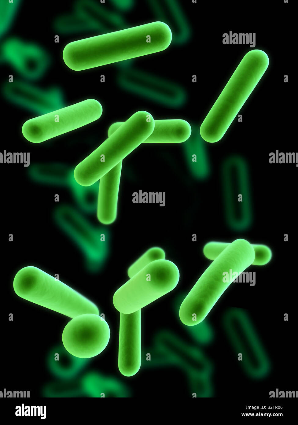 Bacteria microscope hi-res stock photography and images - Alamy