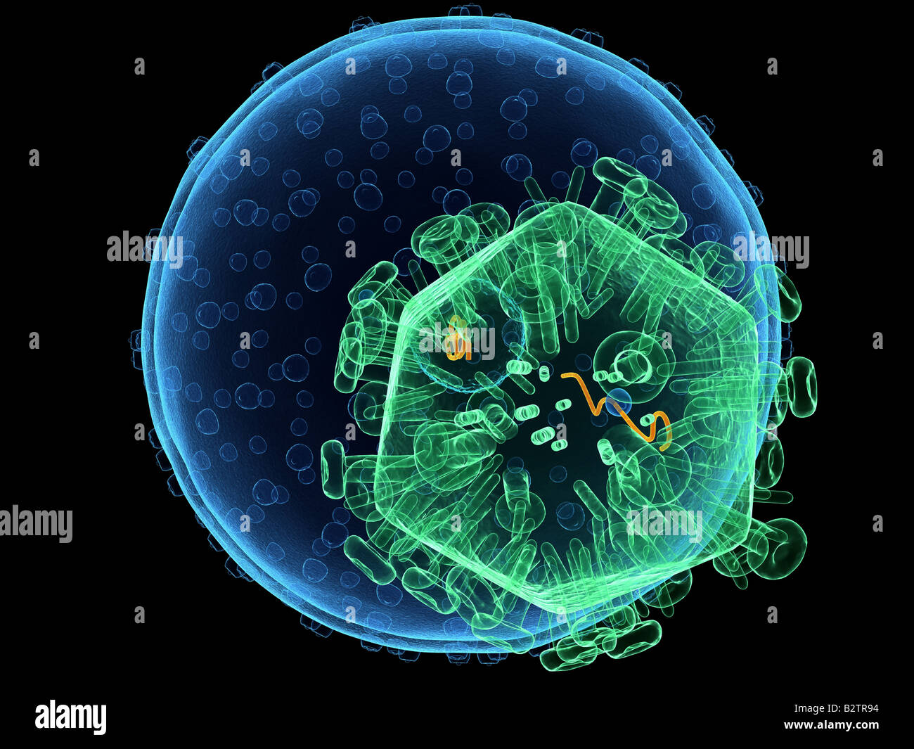 hi virus attacking cell Stock Photo - Alamy