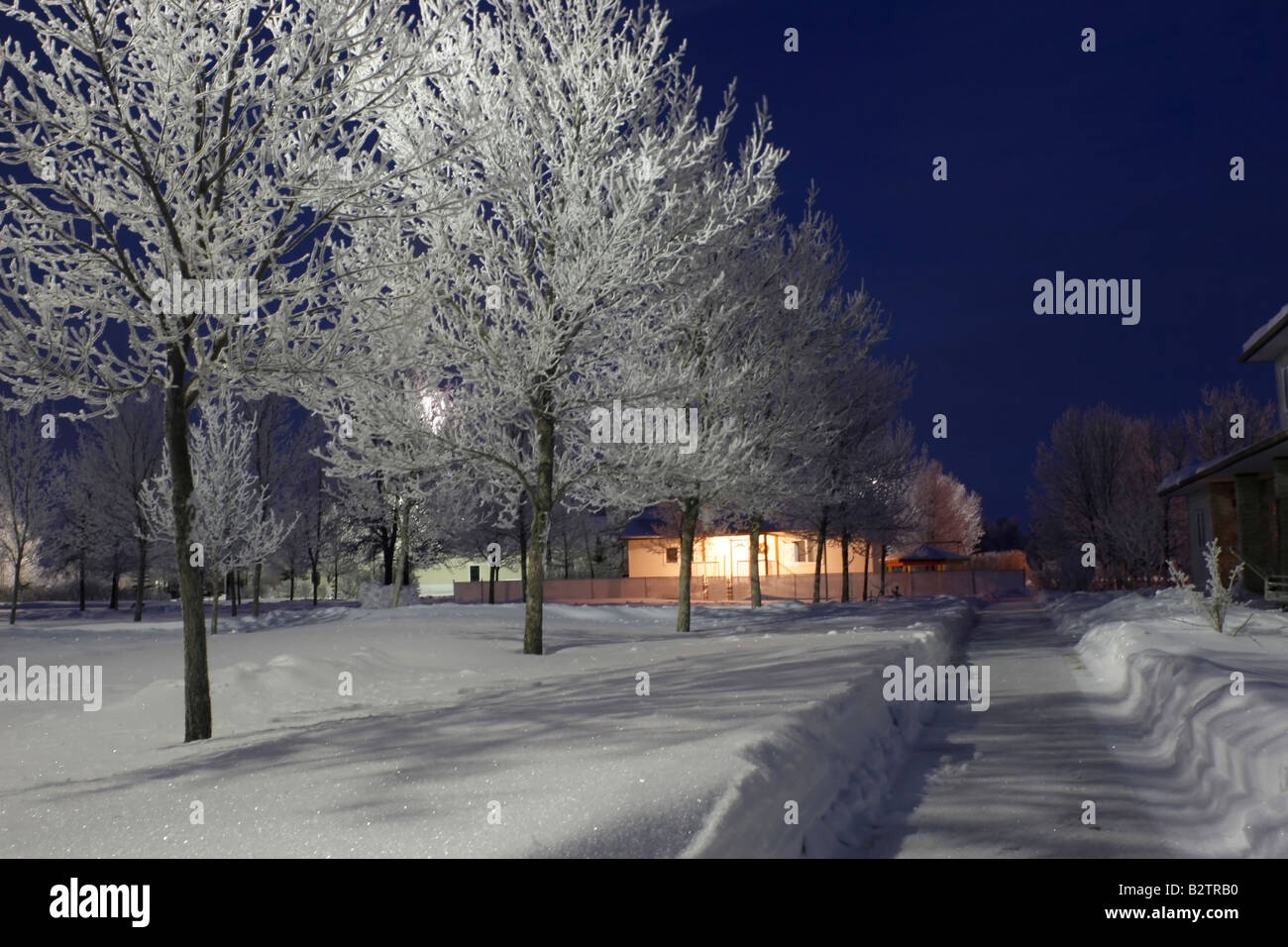 Glistening twilight snow Stock Photo - Alamy