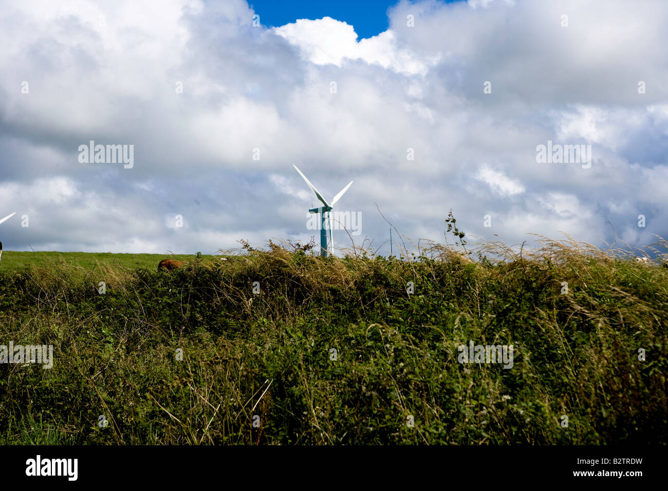 Wind turbines cornwall england hi-res stock photography and images - Alamy