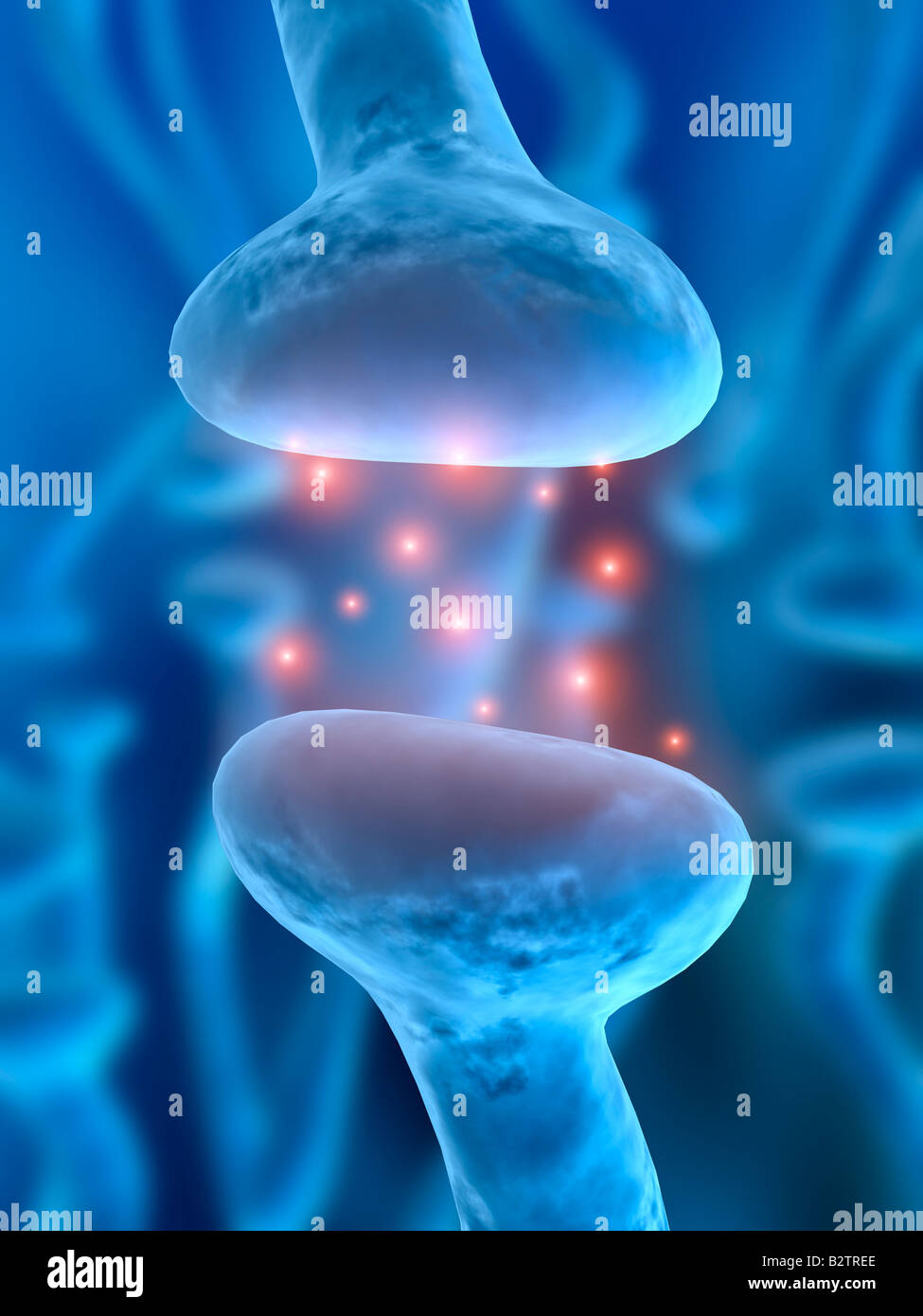 Active neuron hi-res stock photography and images - Alamy